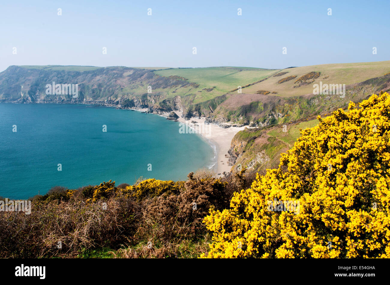 Lantic bay in south east Cornwall, UK Stock Photo - Alamy