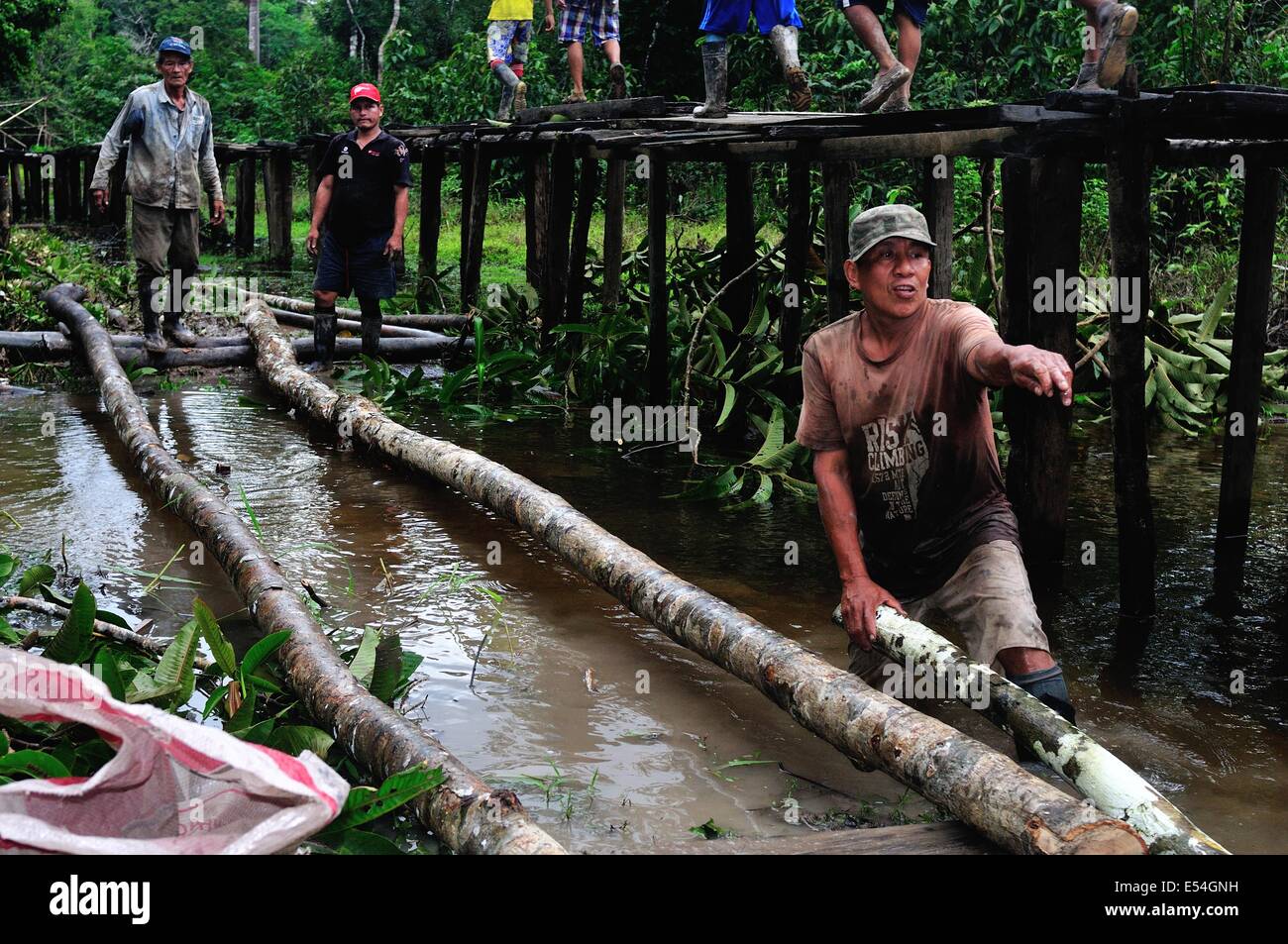 Rebuilding bridge in PANGUANA . Department of Loreto .PERU Stock Photo ...