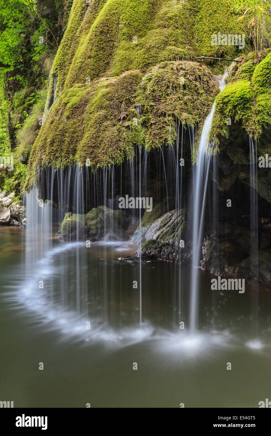 Bigar Cascade Falls in Nera Beusnita Gorges National Park, Romania ...