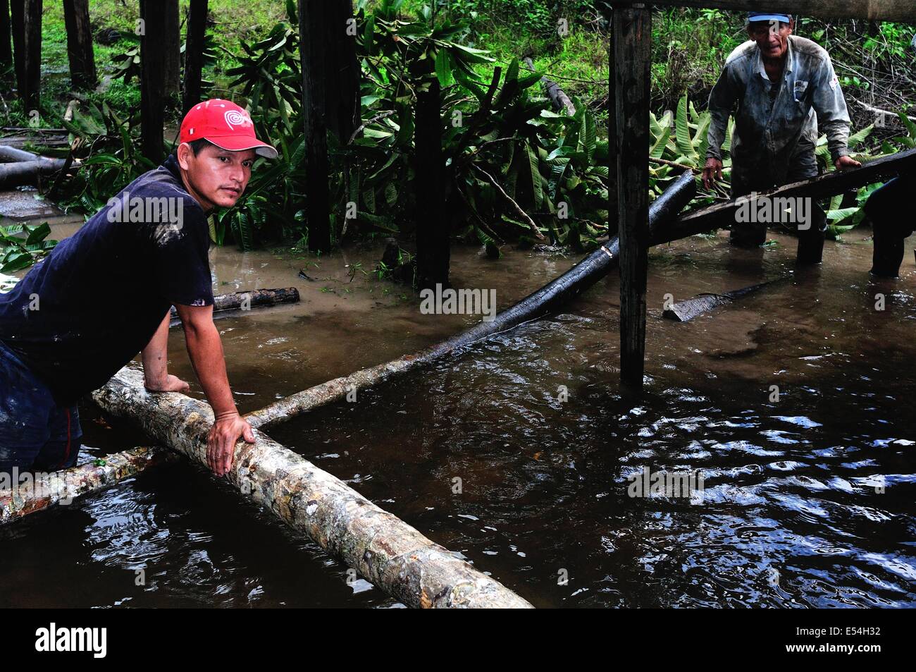 Rebuilding bridge in PANGUANA . Department of Loreto .PERU Stock Photo ...