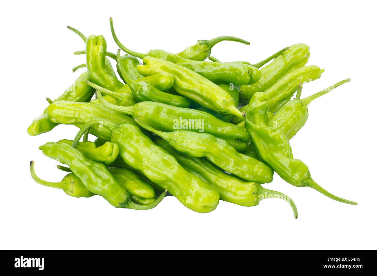 Padrone hi-res stock photography and images - Alamy