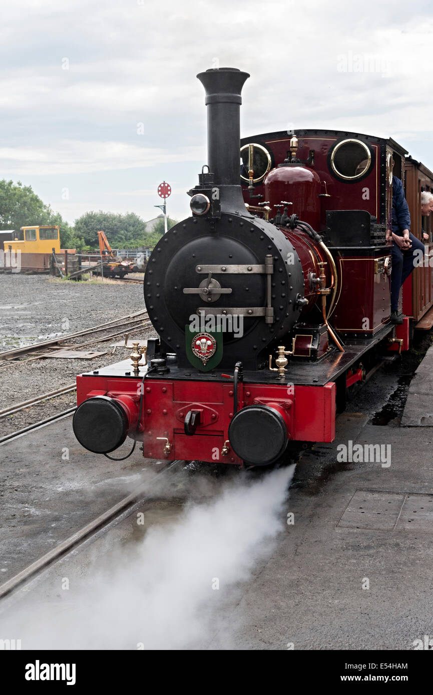 wales talyllyn railway steam engine railway dolgoch engine Stock Photo ...
