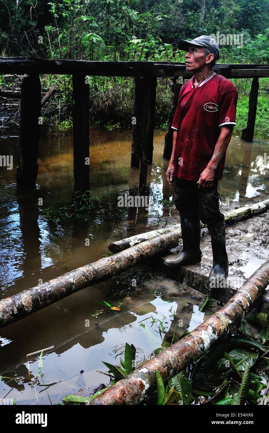 Rebuilding bridge in PANGUANA . Department of Loreto .PERU Stock Photo ...