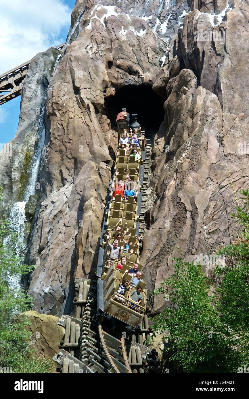 Expedition everest roller coaster disney hi-res stock photography and ...