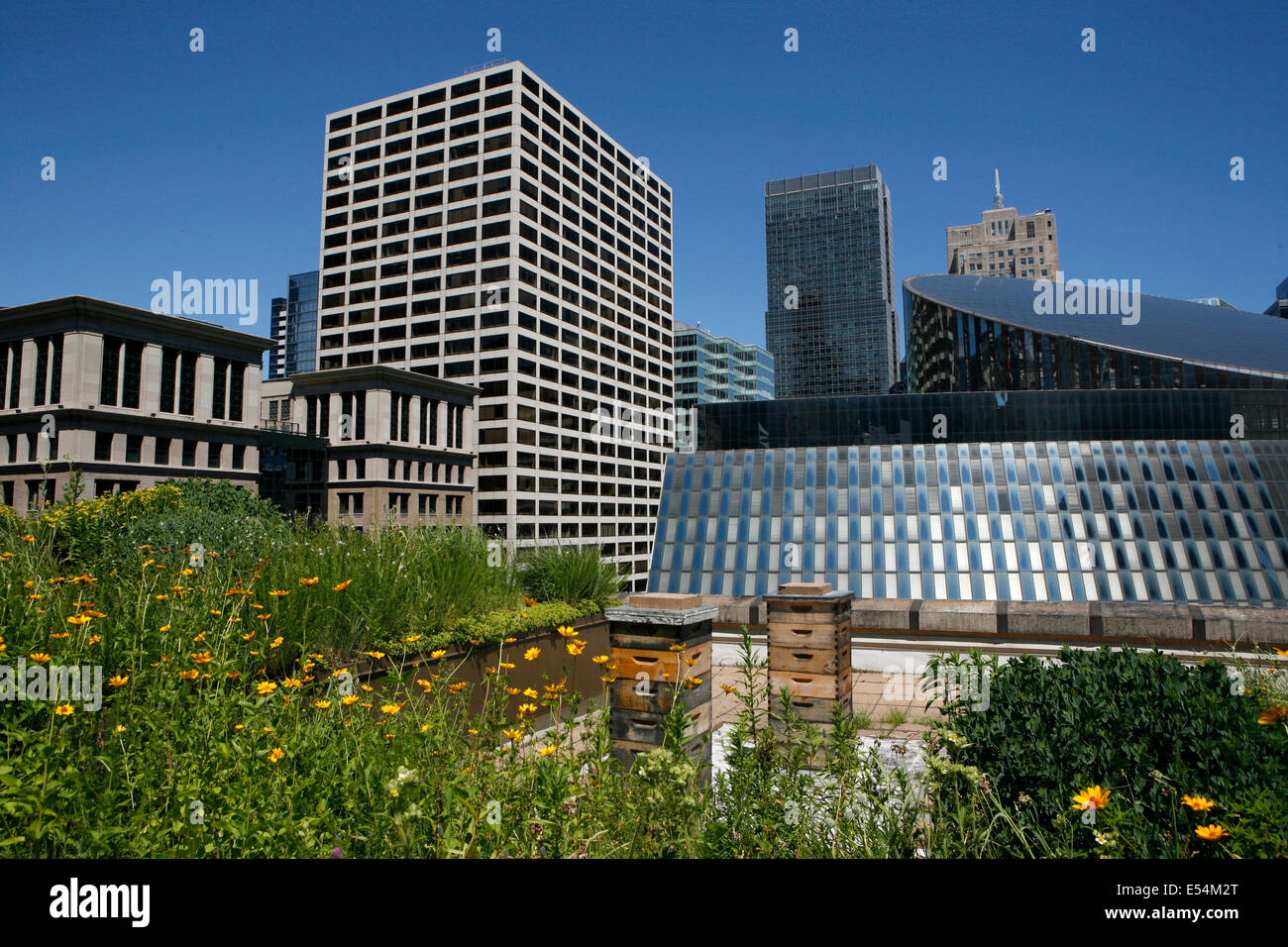 Chicago city hall hi-res stock photography and images - Alamy