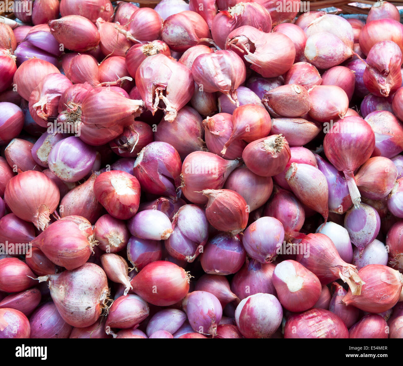 Plant shallots cook spicy foods abstract background Stock Photo - Alamy