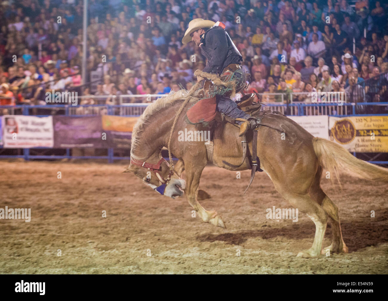 Cowboy Participating in a Bucking Horse Competition at the Helldorado ...