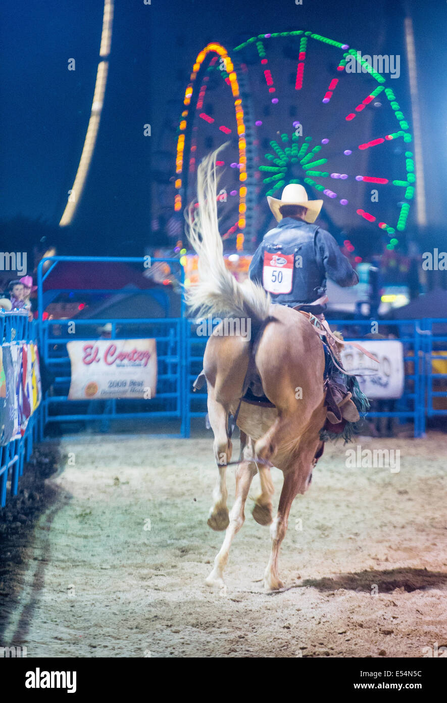 Cowboy Participating in a Bucking Horse Competition at the Helldorado ...