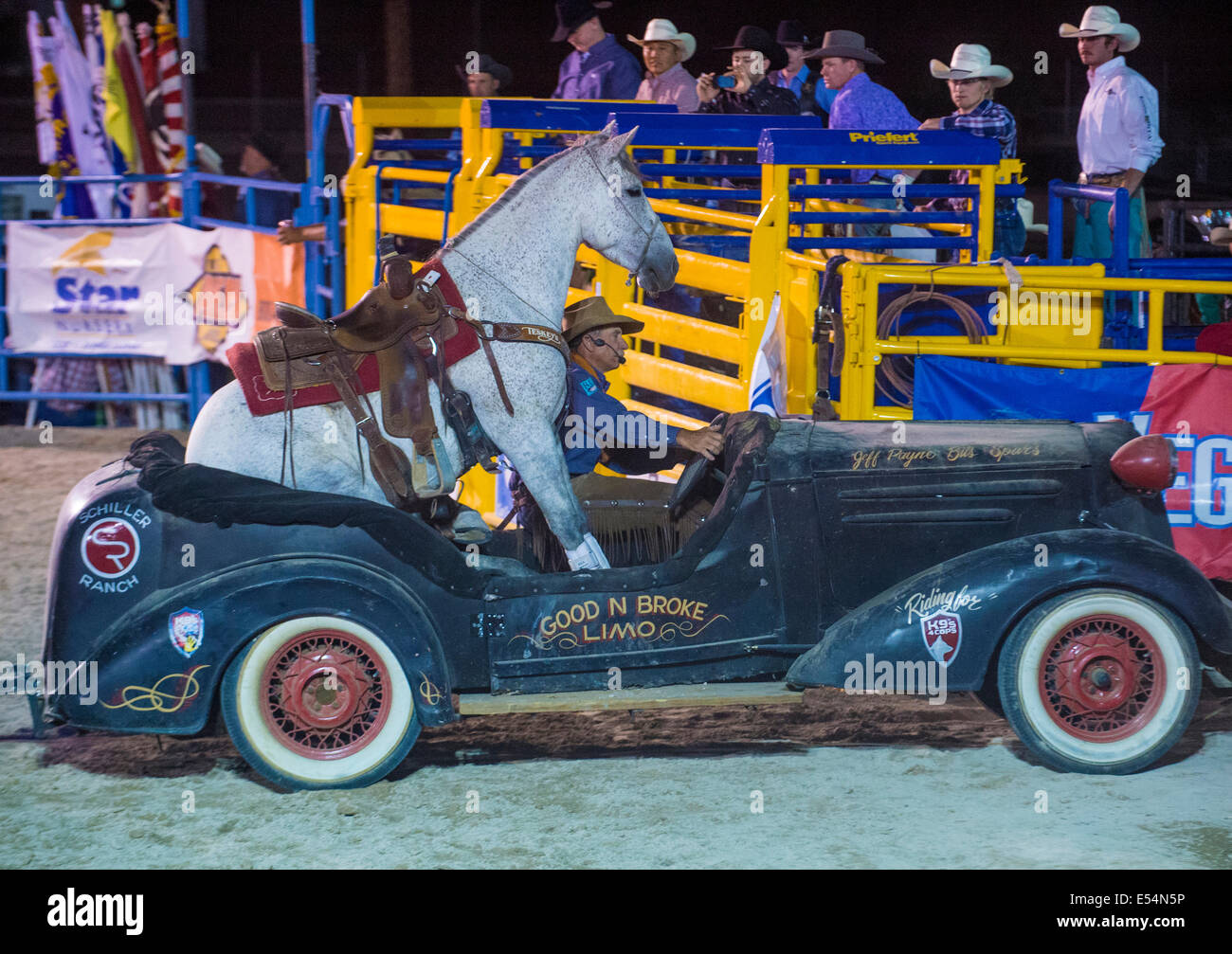 Cowboys Participating in the Helldorado days Rodeo , A professional ...