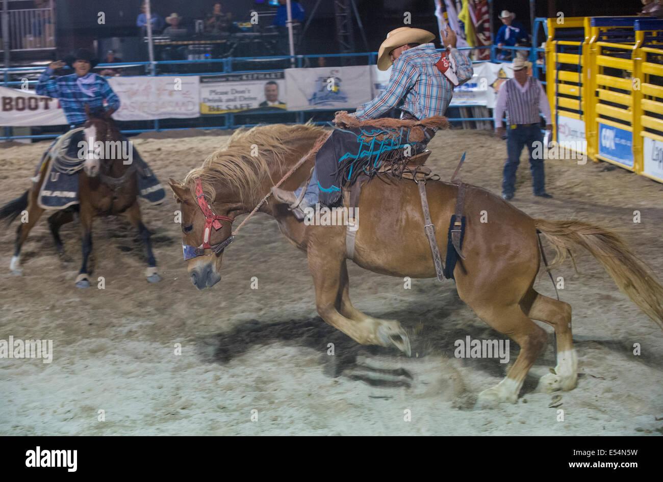 Cowboy Participating in a Bucking Horse Competition at the Helldorado ...