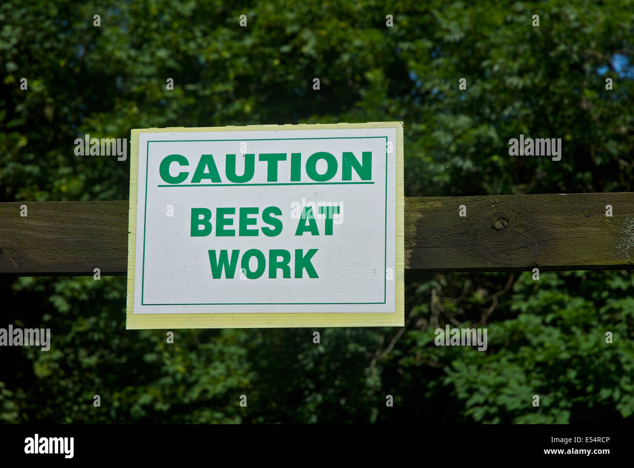 Sign: Caution, Bees at Work Stock Photo - Alamy
