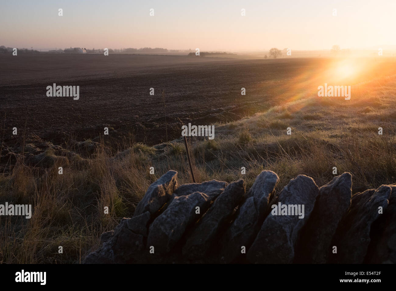 A frosty sunrise over a fallow field in early spring in Lincolnshire ...