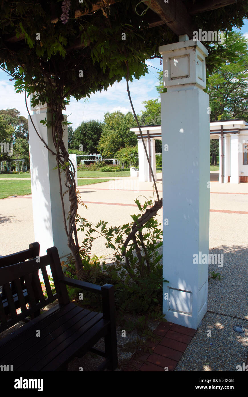 Rose Garden, Canberra, Australia Stock Photo - Alamy