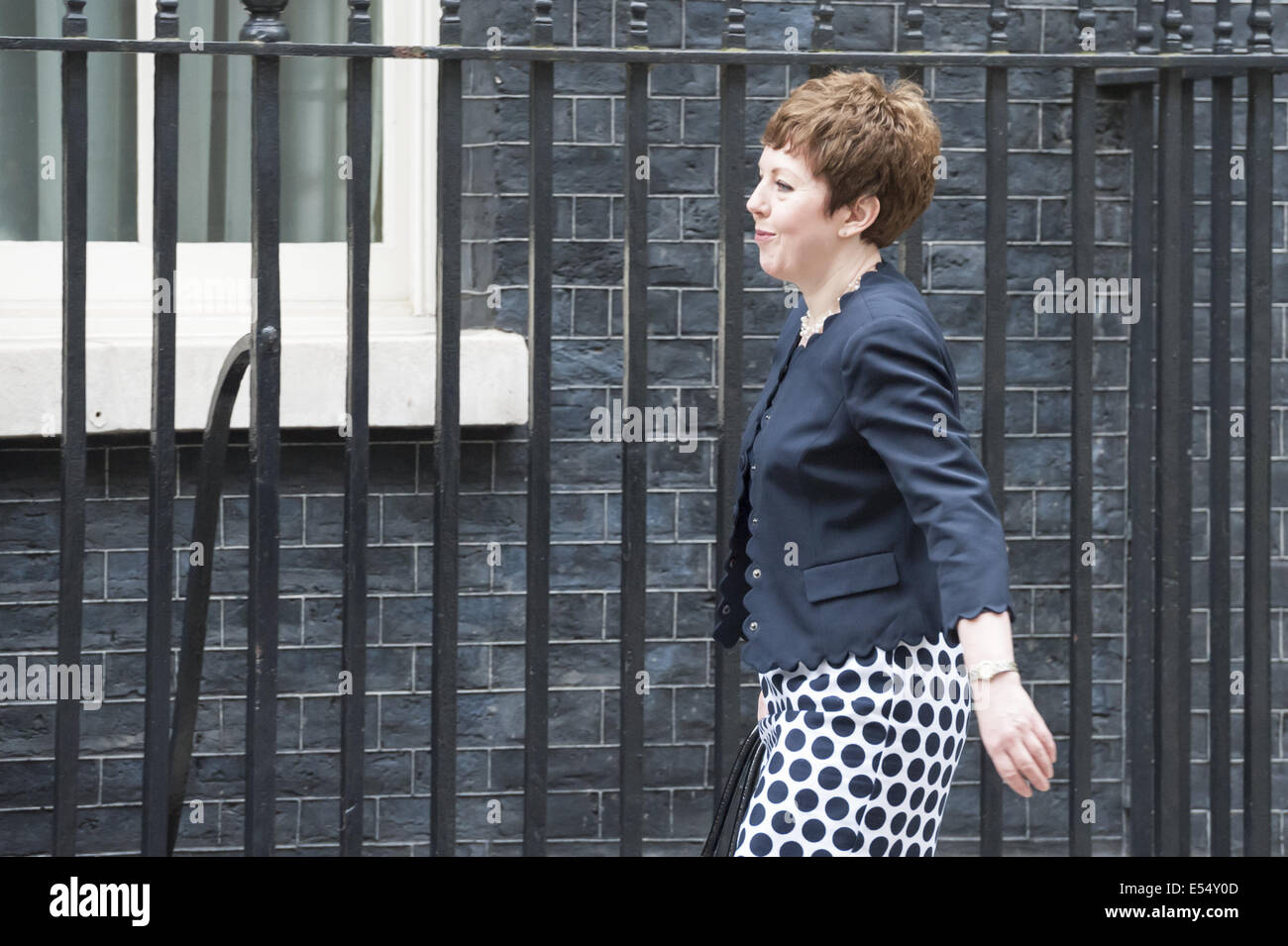 Baroness stowell hi-res stock photography and images - Alamy