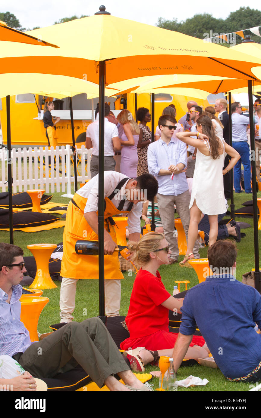 Veuve Clicquot Gold Cup, British Open Polo Championship, Cowdray Park ...