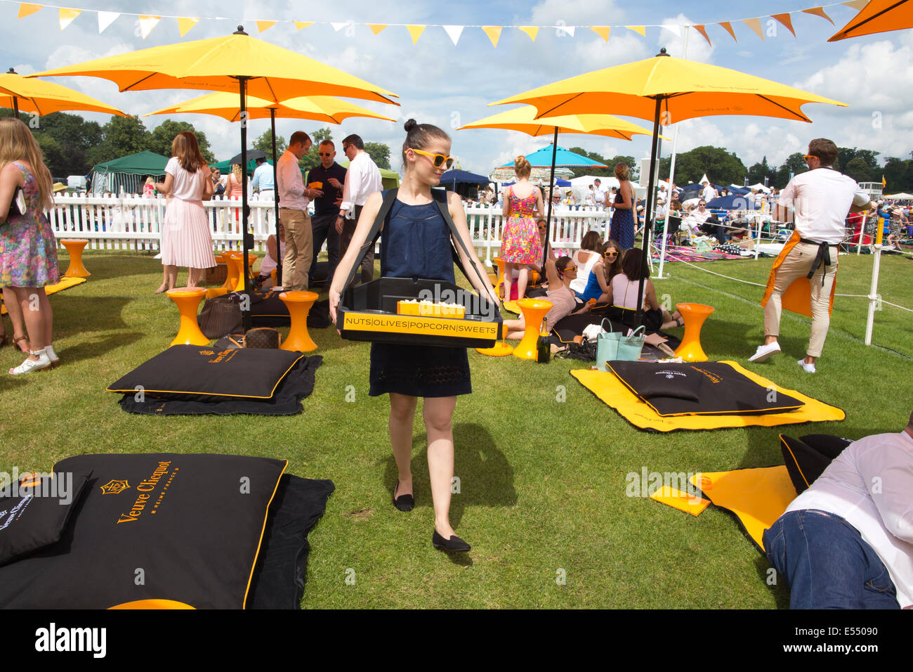 Veuve Clicquot Gold Cup, British Open Polo Championship, Cowdray Park ...