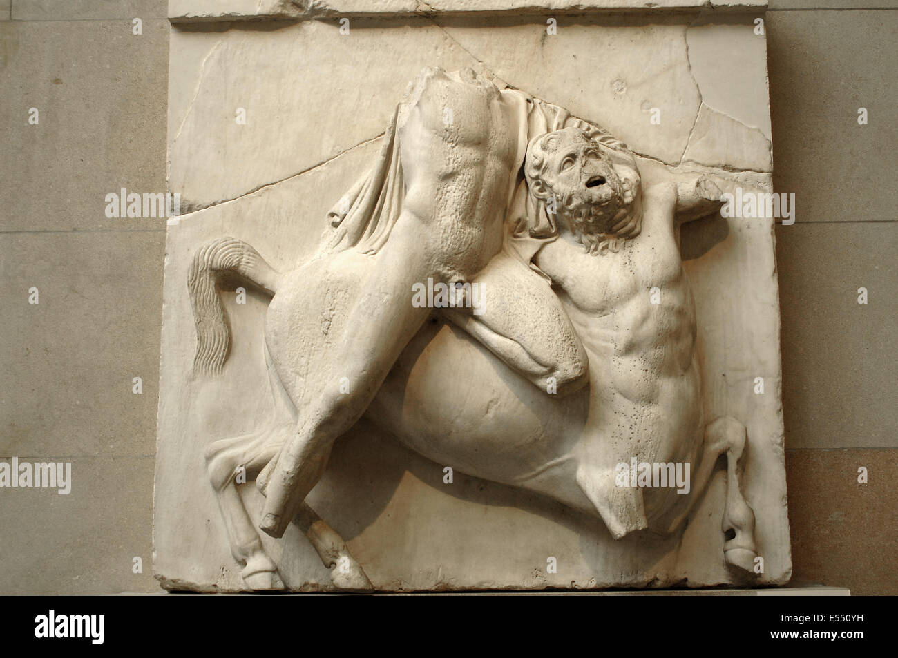 Metope II from the Parthenon marbles depicting part of the battle between the Centaurs and ...