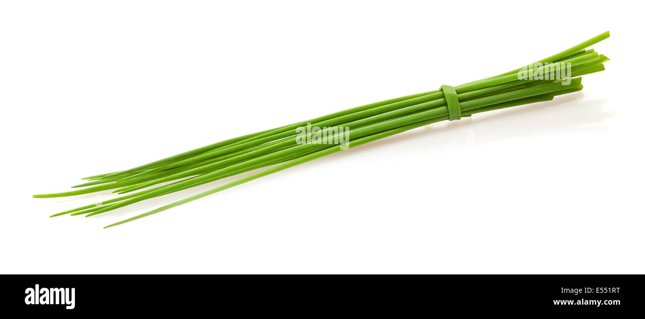 small bunch of Chives isolated on white background Stock Photo - Alamy