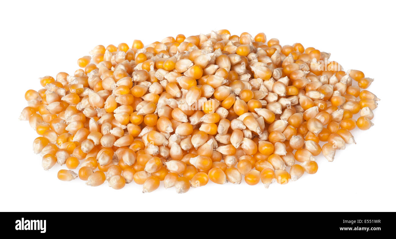 Sweet whole corn isolated on white Stock Photo - Alamy