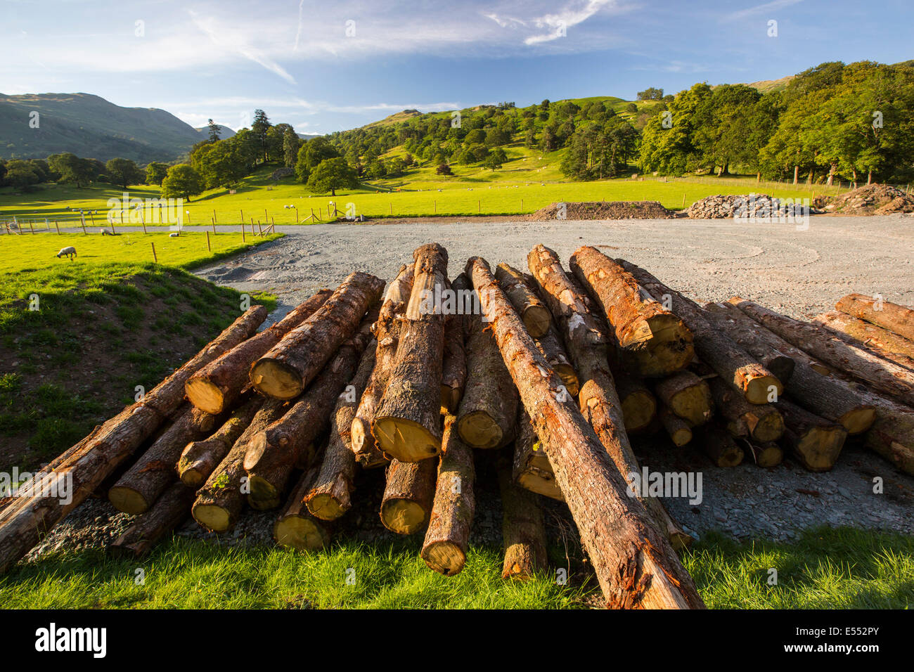 Timber extraction hi-res stock photography and images - Alamy