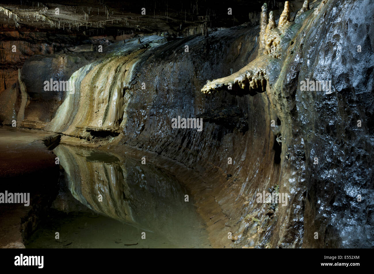 Limestone rock formation known as 'The Dragon' in cave, Ingleborough ...