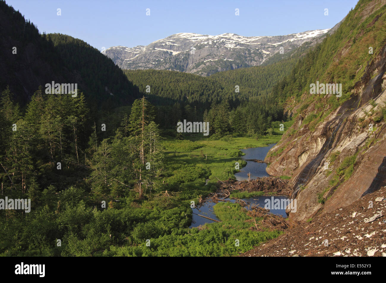 View of glacial valley and temperate coastal rainforest habitat, Inside ...