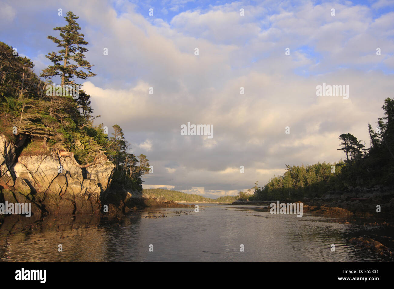 Great bear temperate rainforest hi-res stock photography and images - Alamy