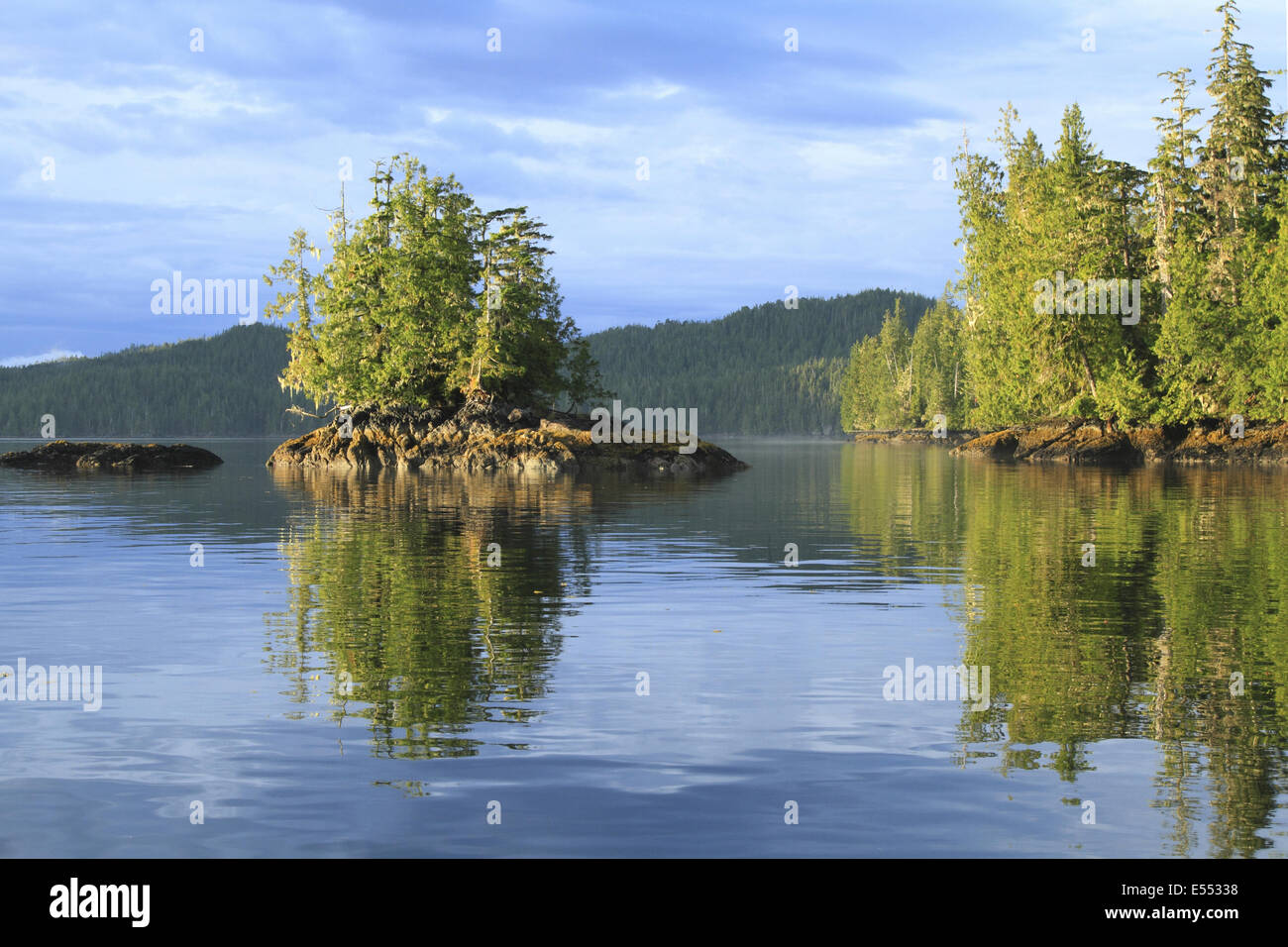 View of islet and temperate coastal rainforest in evening, Lama Passage ...