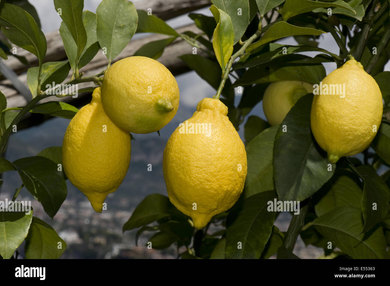 Bay of limon hi-res stock photography and images - Alamy