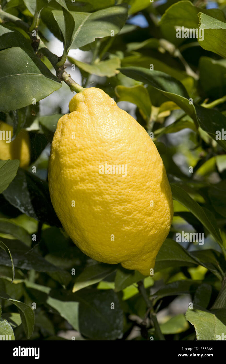 Bay of limon hi-res stock photography and images - Alamy