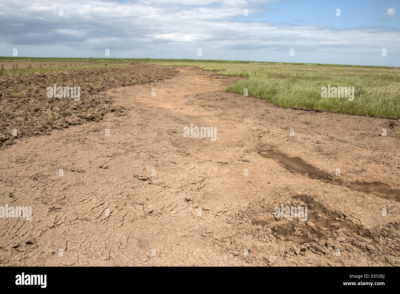 Habitat restoration work, Deepdale Marsh, Burnham Deepdale, North ...