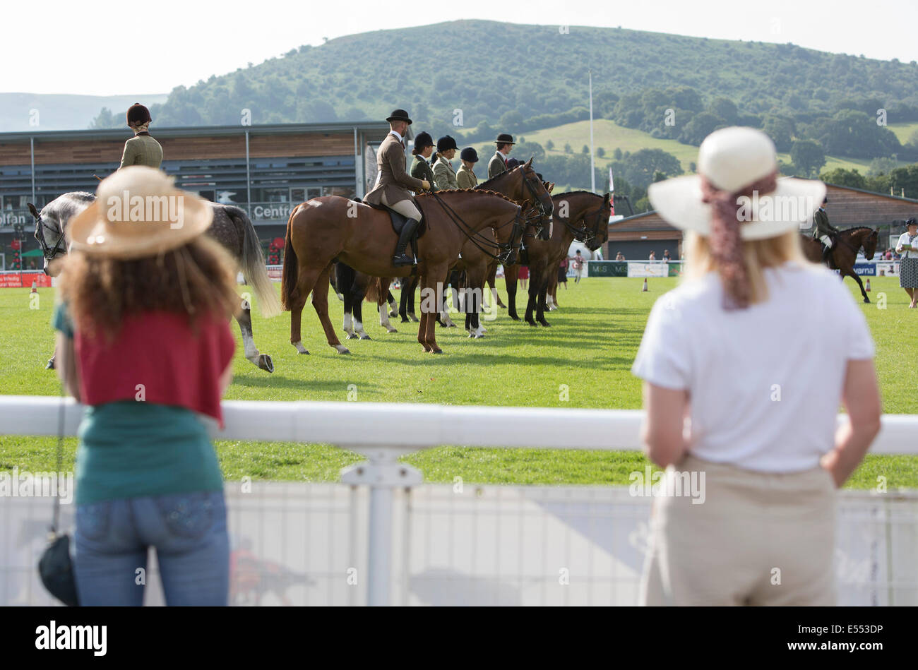 Royal Welsh Show Horses High Resolution Stock Photography and Images ...