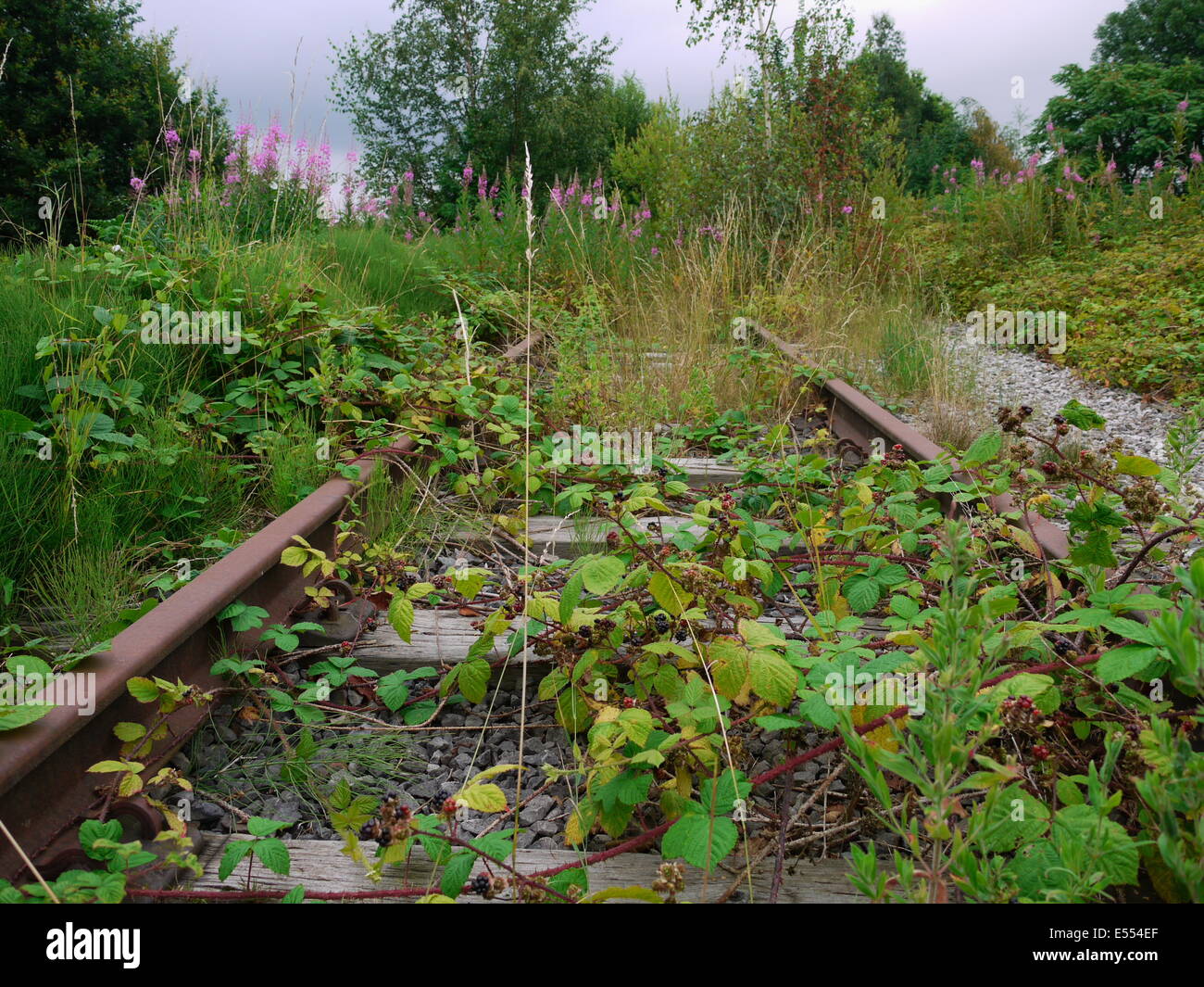 Tracks Without Trains. Disused Railway Line Stock Photo - Alamy