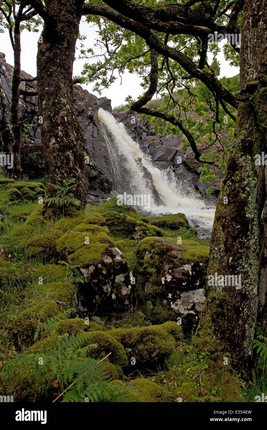 Eas Fors waterfall Isle of Mull Scotland Stock Photo - Alamy