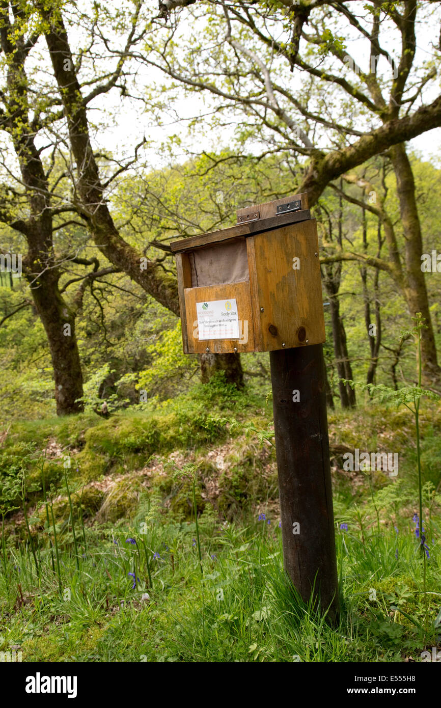 Feely boxes Glen Finglas woodland formerly Royal Hunting Forest ...