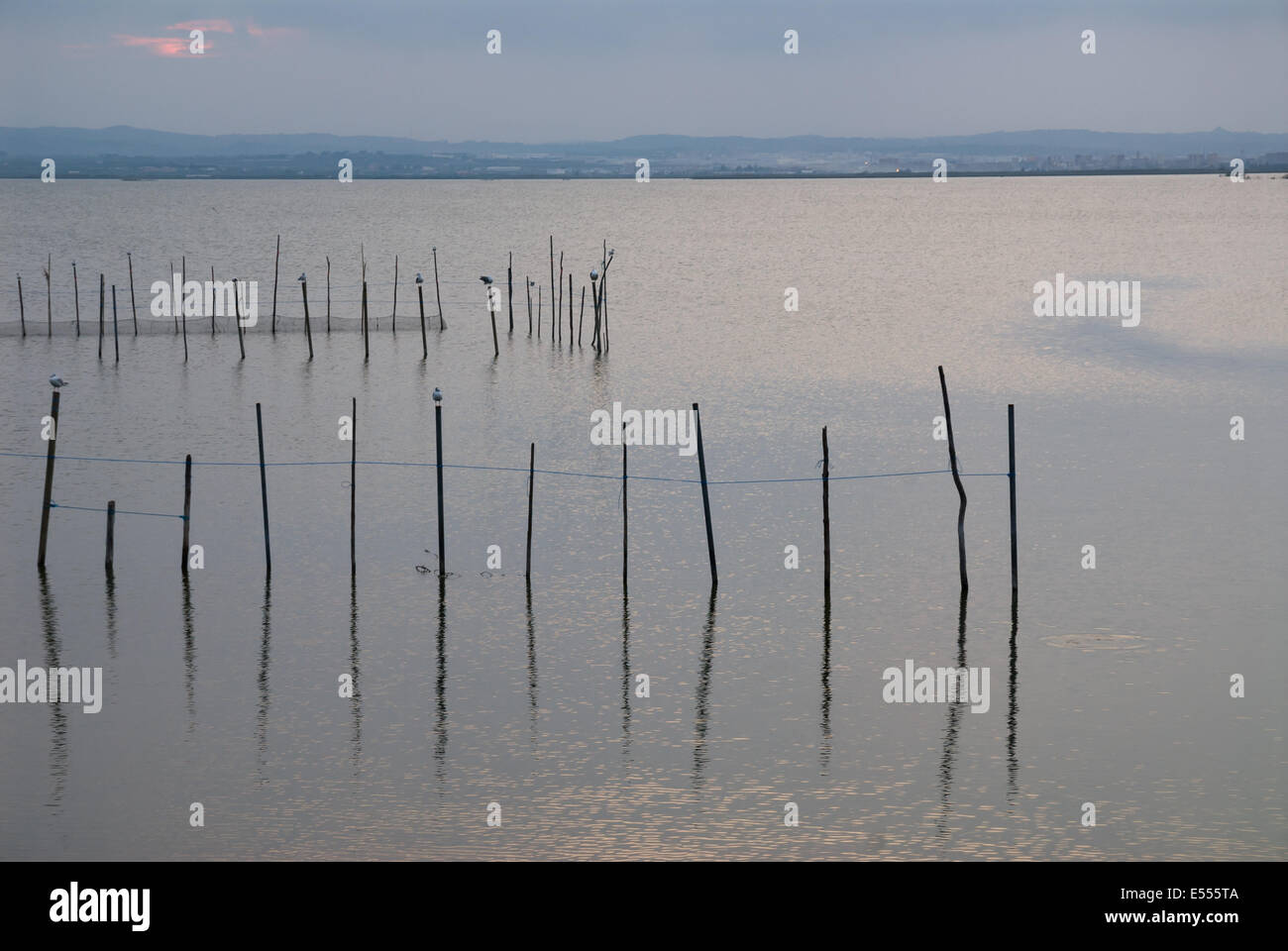 The Albufera Natural Park is a nature reserve and freshwater lagoon on ...