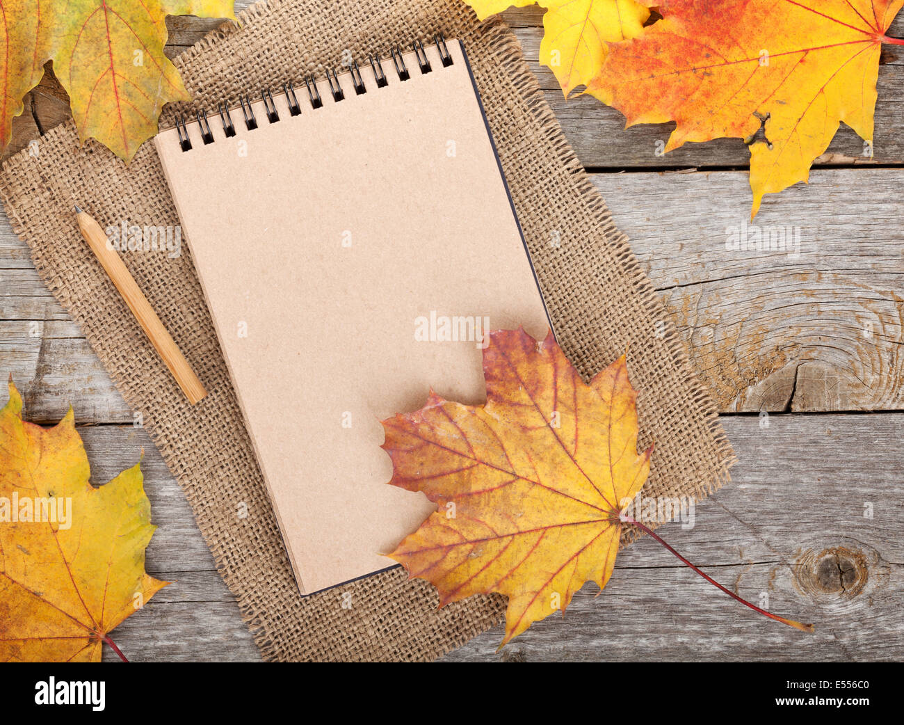 Blank notepad and colorful autumn maple leaves on wooden table ...