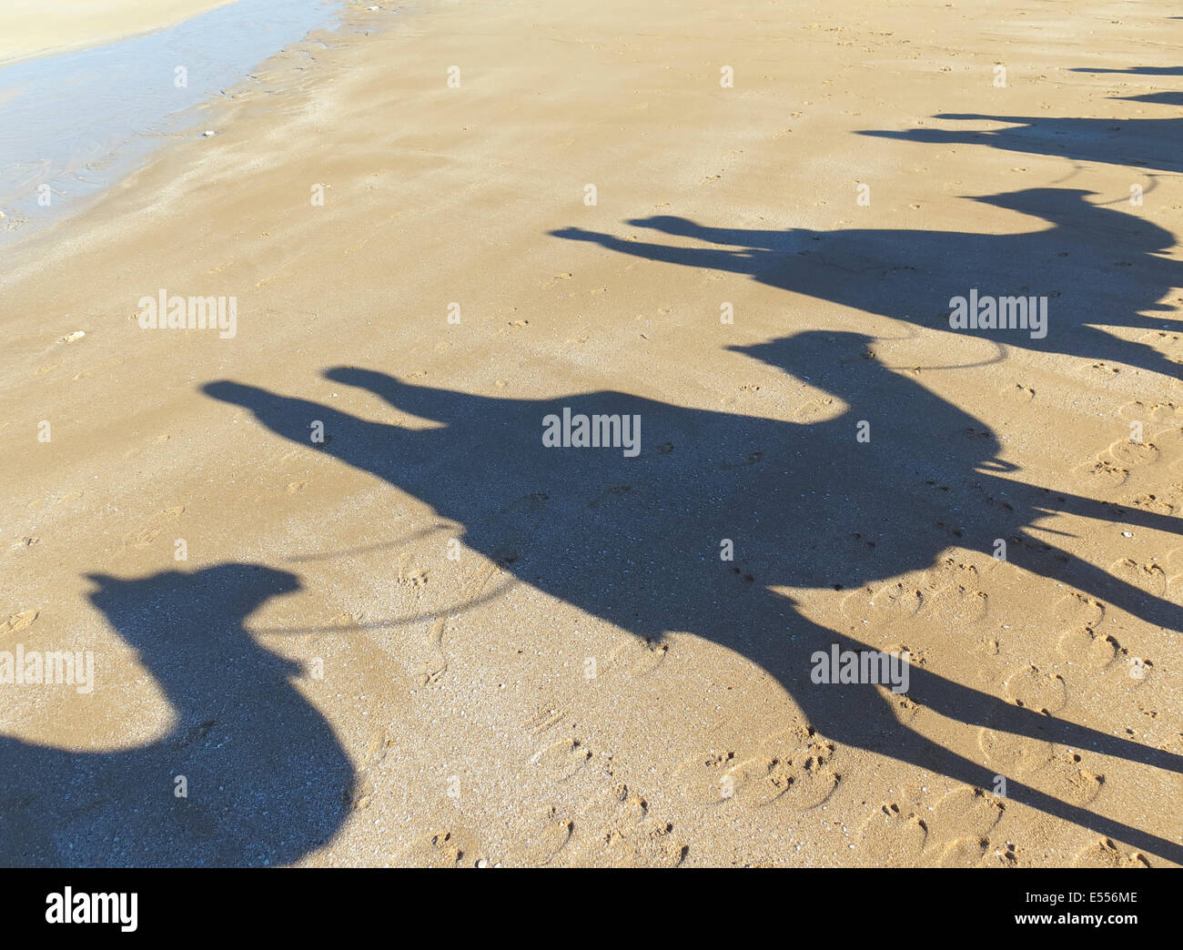 Shadow of a camel train on Cable Beach in Broome, Western Australia ...