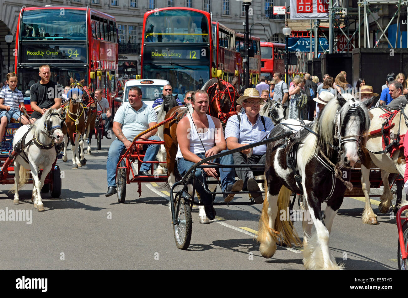 Trotting harness hi-res stock photography and images - Alamy