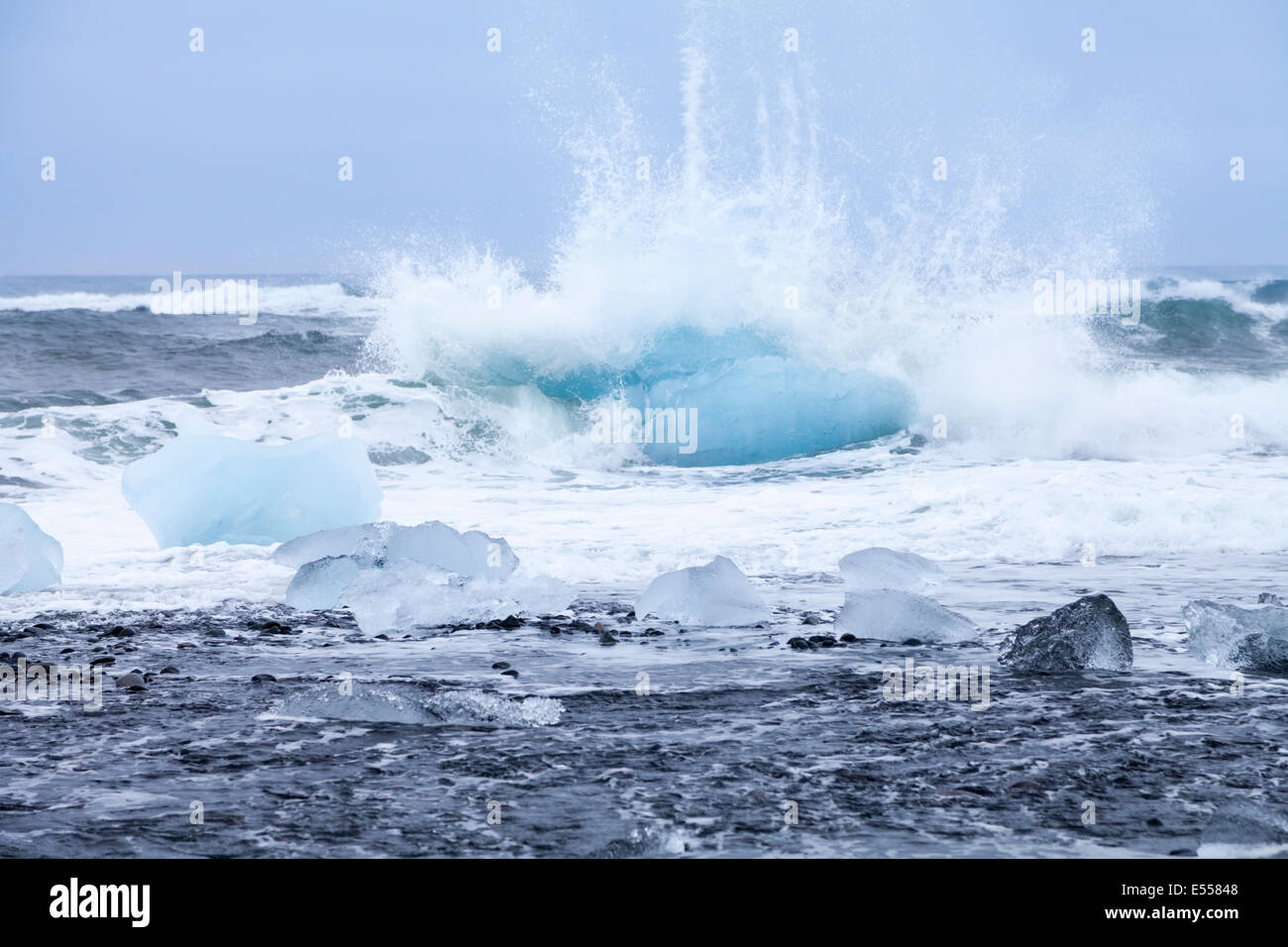Tidal waves pushing glacial ice pieces back onto the black sand beach ...