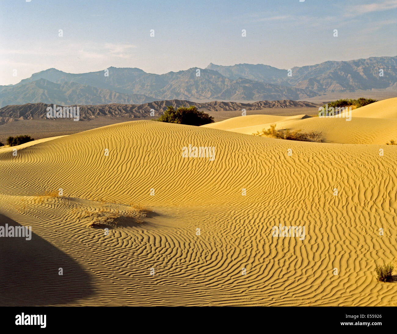 Sand Dunes in Death Valley, situated within the Mojave Desert ...
