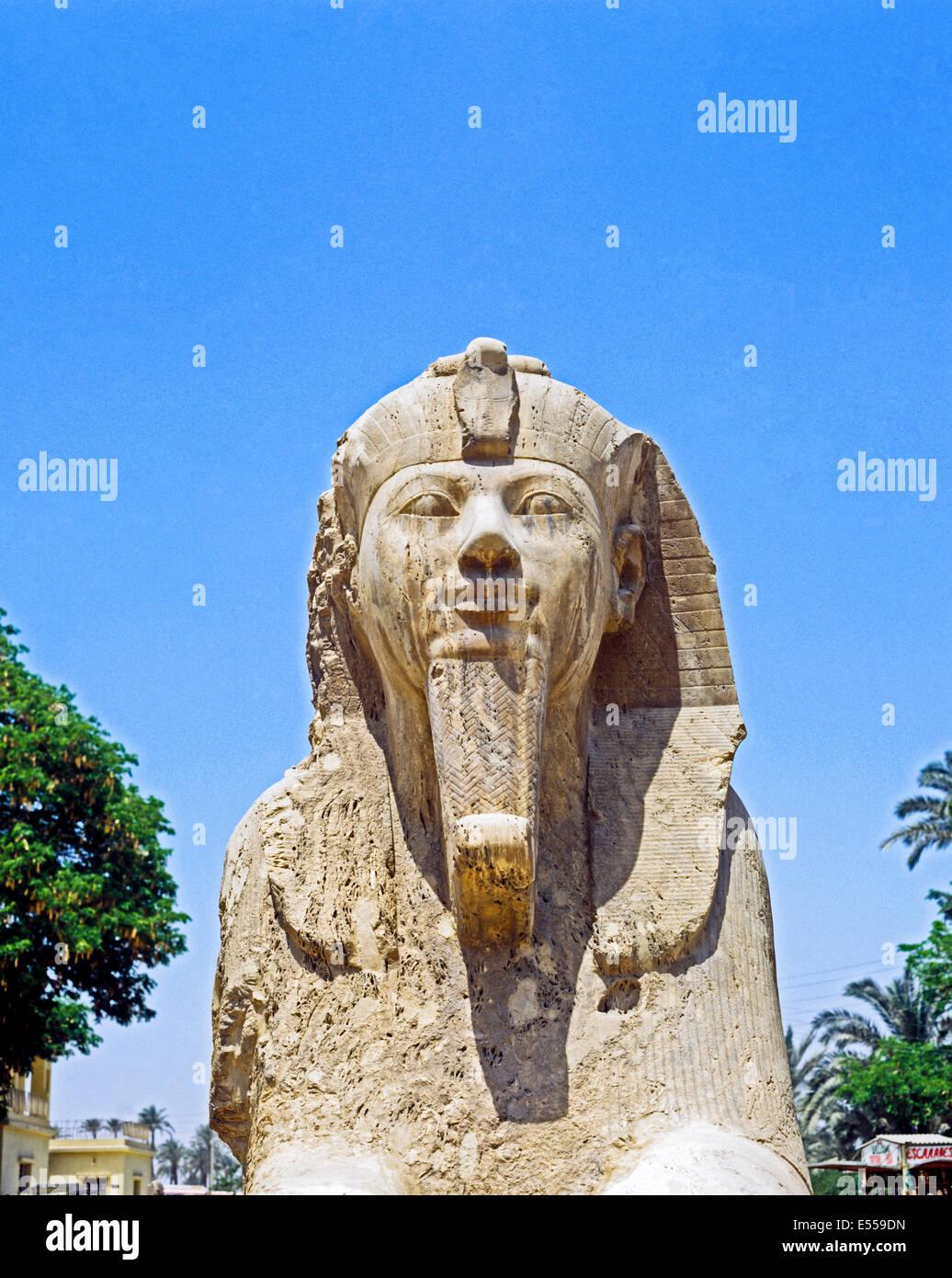 Memphis egypt hi-res stock photography and images - Alamy