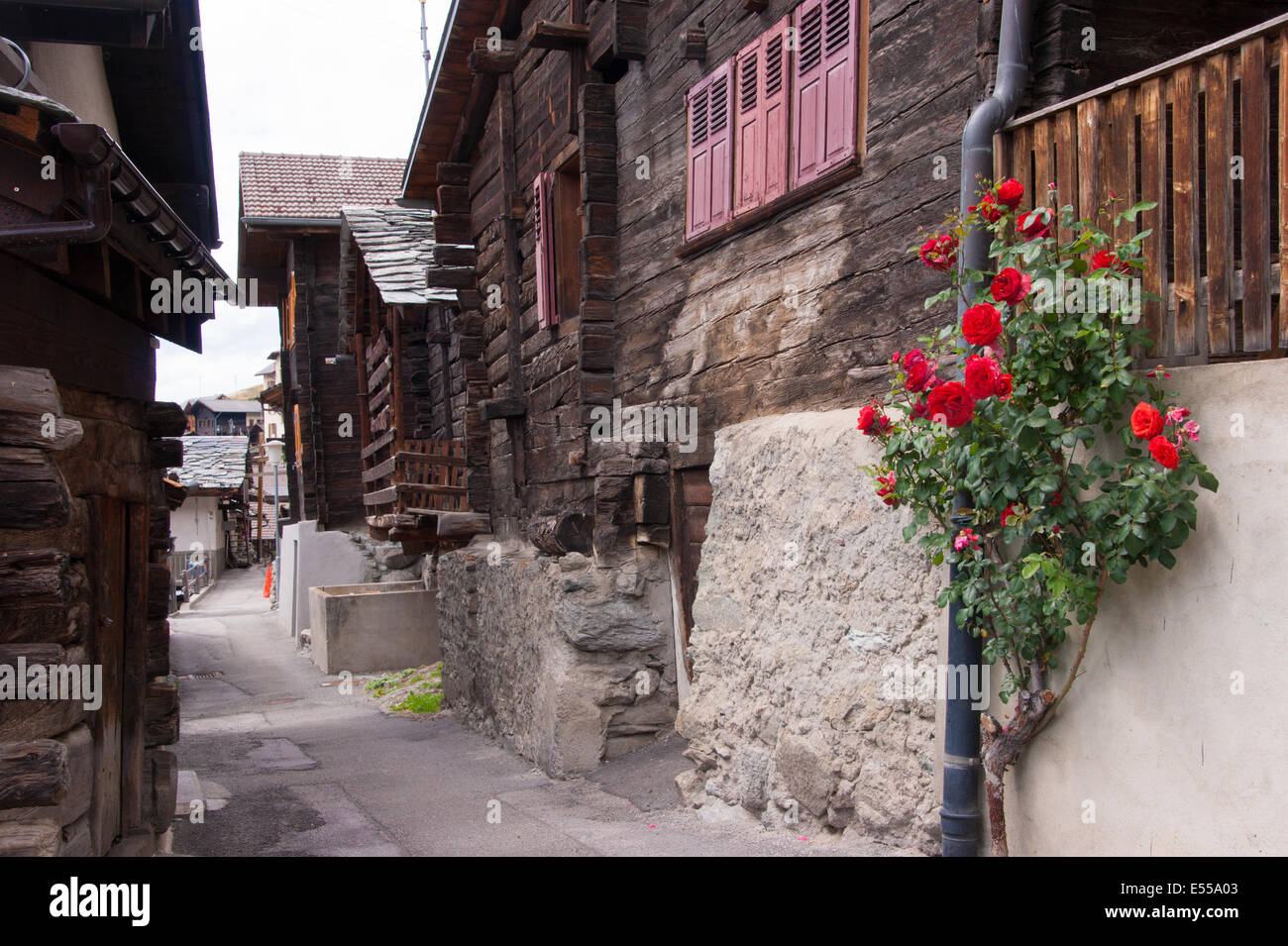 Mase where hi-res stock photography and images - Alamy