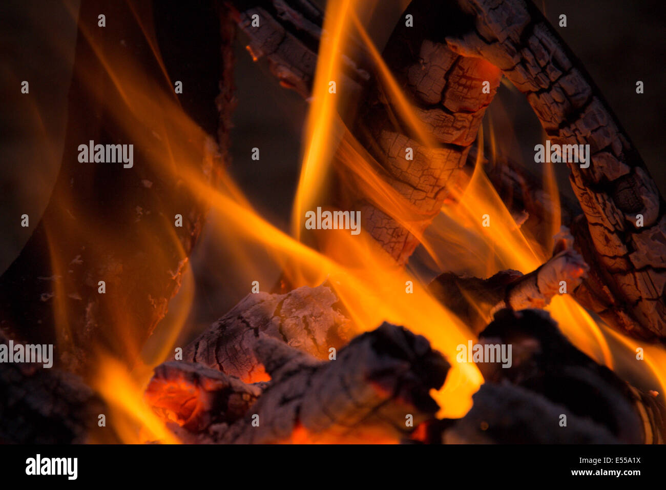 Fire burning tree branches hi-res stock photography and images - Alamy