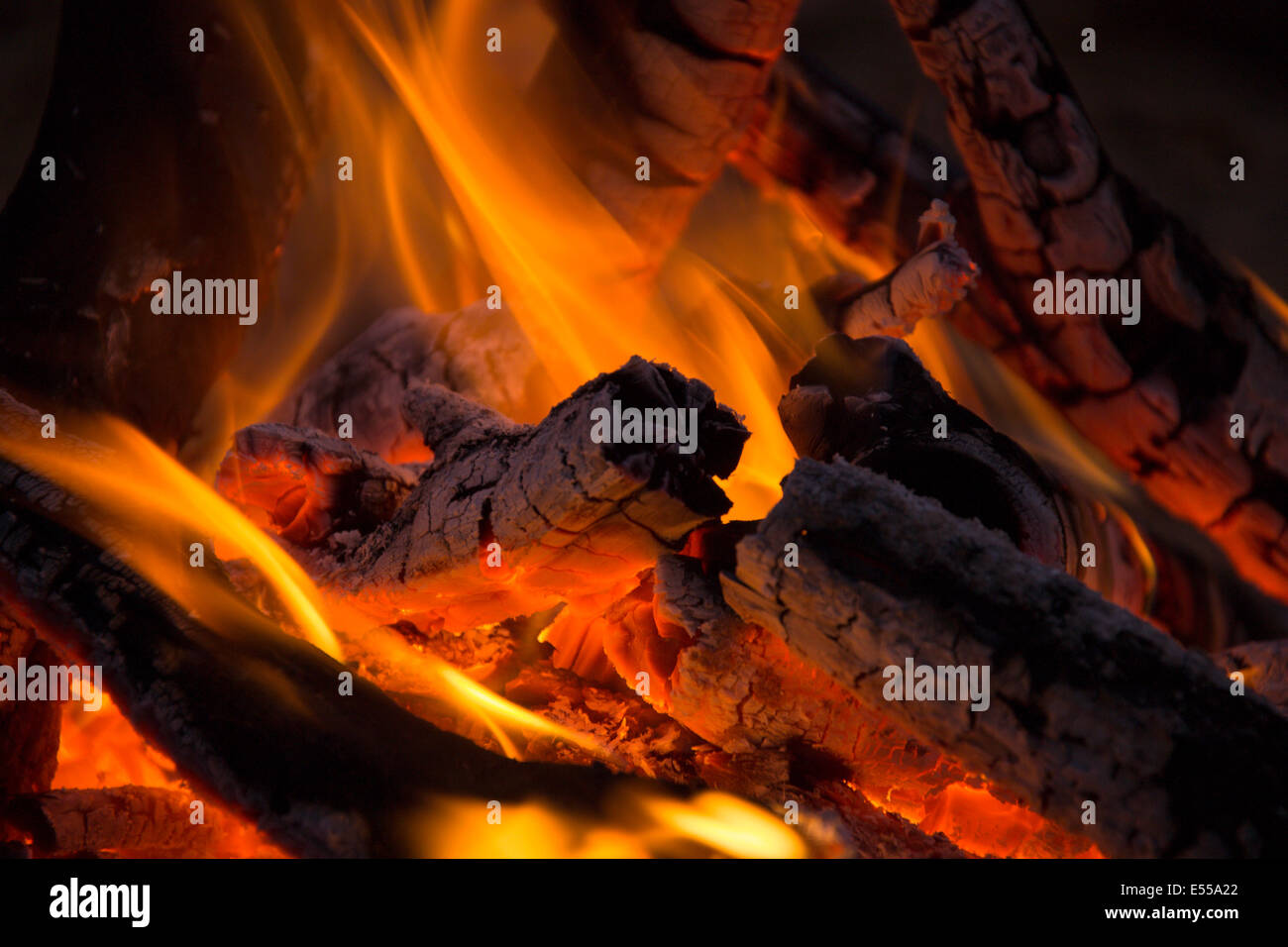 tree branches are burned in the fire Stock Photo - Alamy