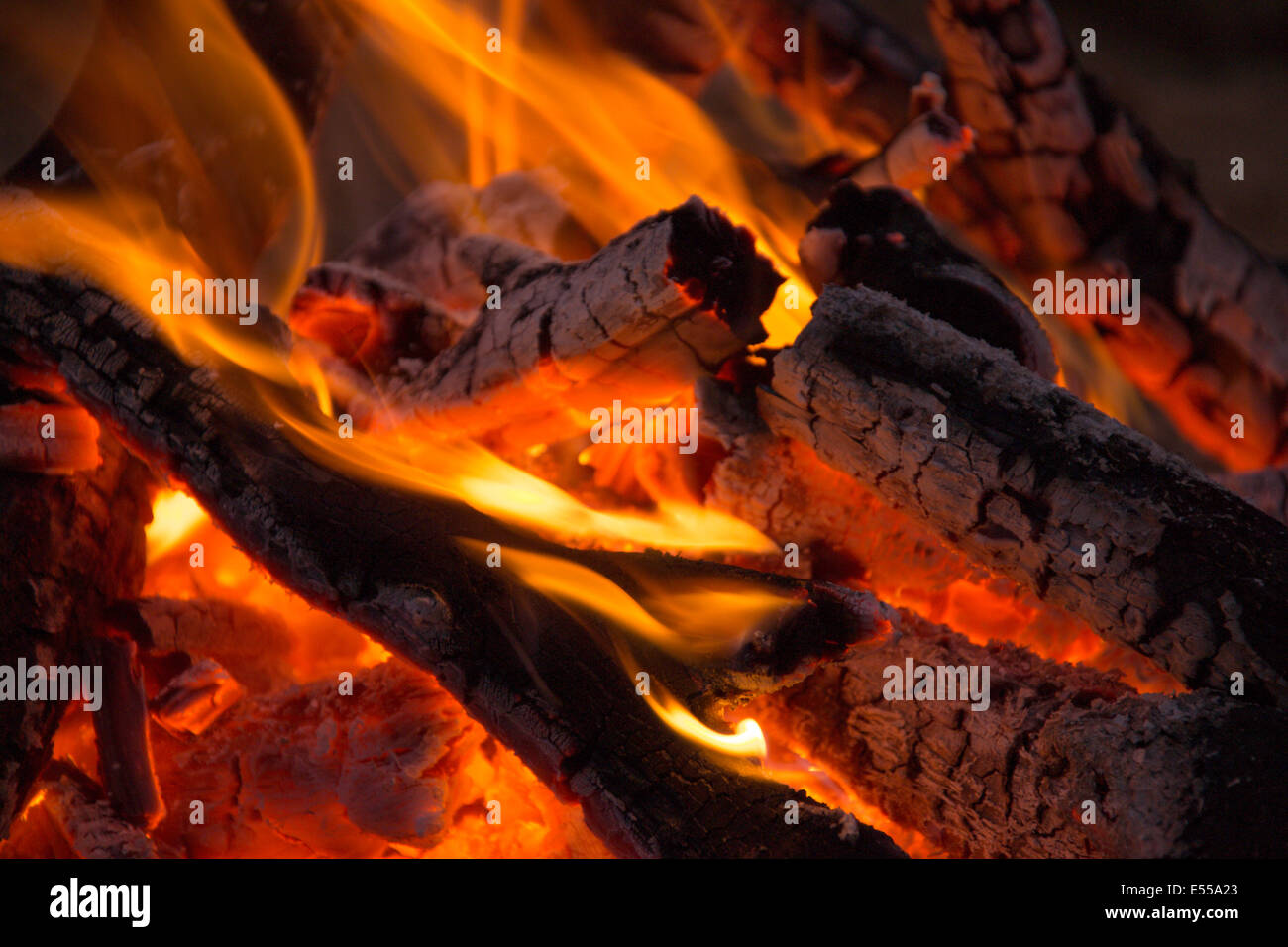 tree branches are burned in the fire Stock Photo - Alamy