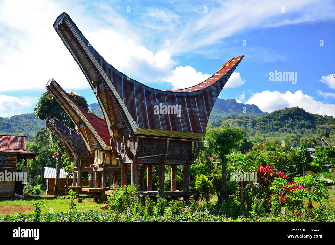 Traditional Alang rice barn, Rantepao, Tana Toraja, Sulawesi, Indonesia ...