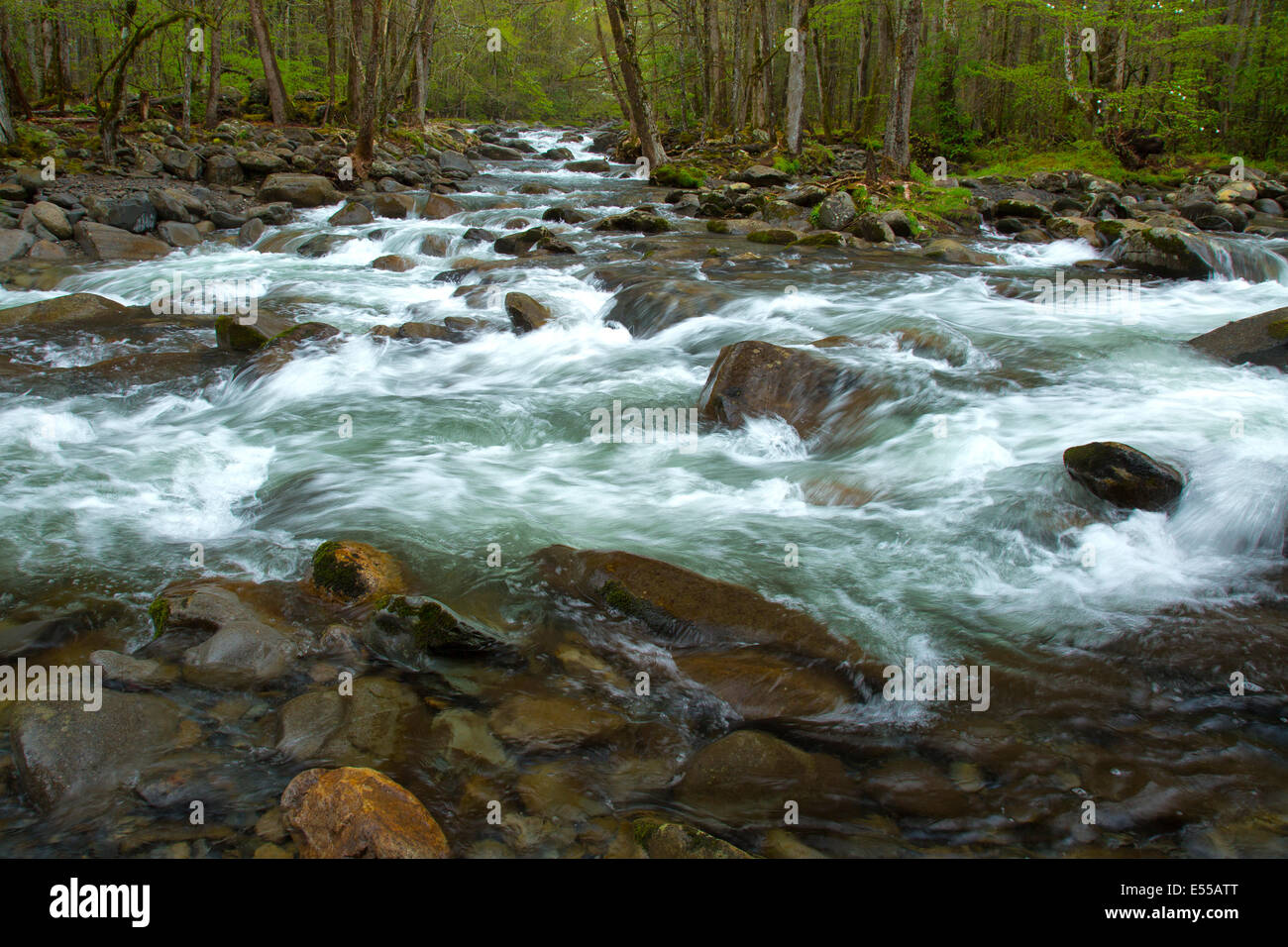Two rivers converge hi-res stock photography and images - Alamy
