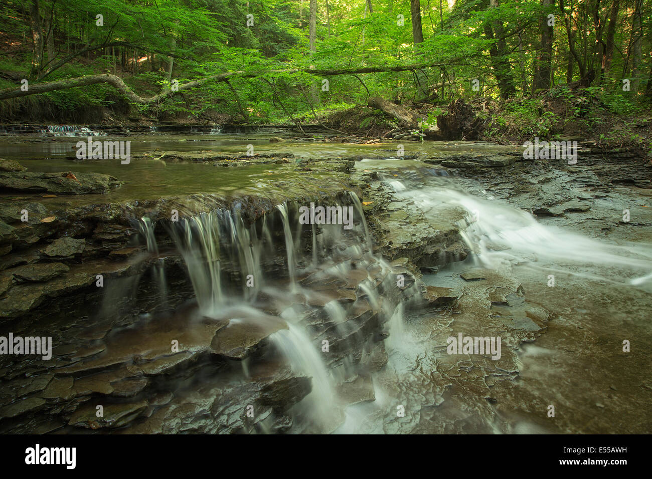 A shallow creek with water cascading and falling over shale rock ...