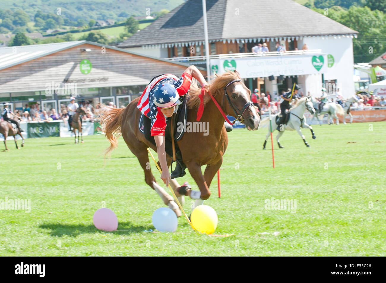 Llanelwedd, UK. 21st July 2014. The Royal Welsh Mounted Games takes ...